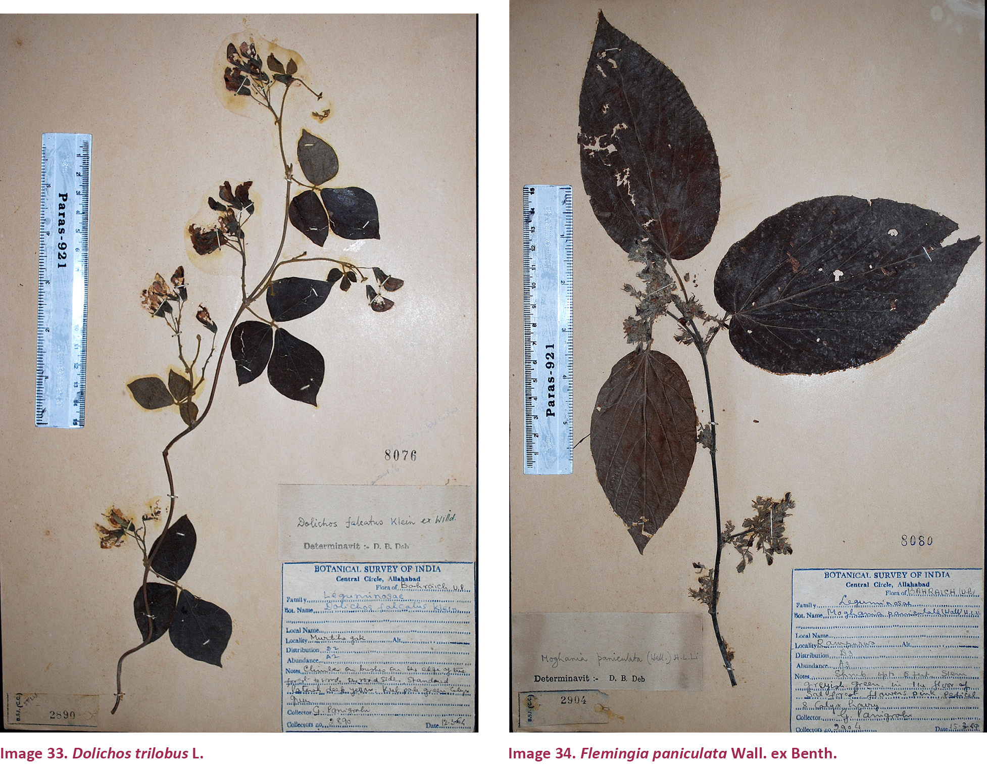 o325720vi157309-7408.html