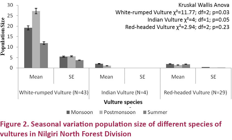 Status and population of vultures in Moyar Valley, southern India ...